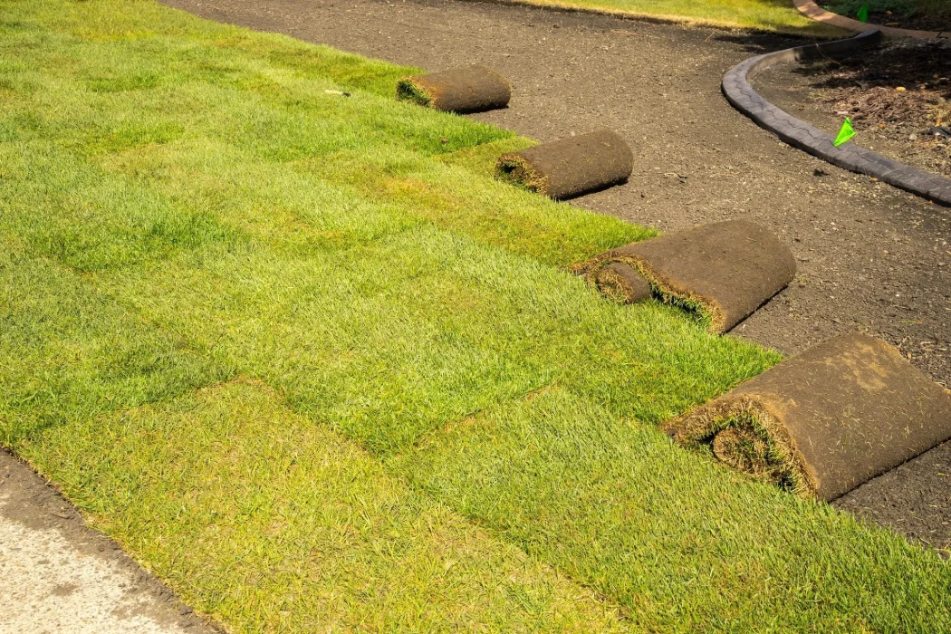 Atlanta Sod Installation: Best Sod Varieties for Georgia Properties ...